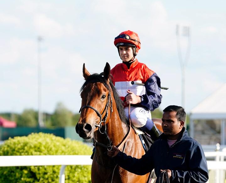 Chelmsford City Horse Racing | Chelmsford City Racecourse