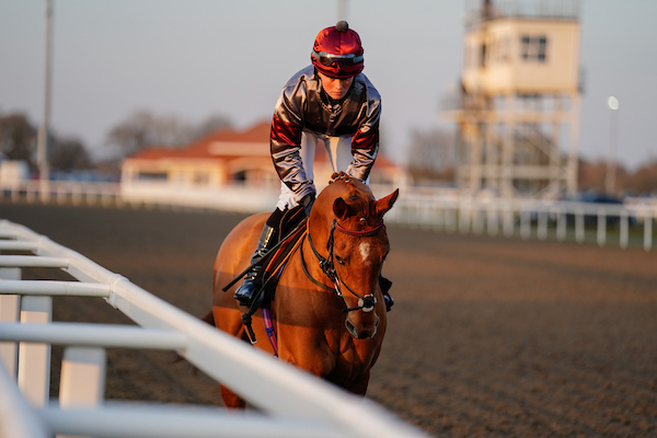 Chelmsford City Horse Racing | Chelmsford City Racecourse