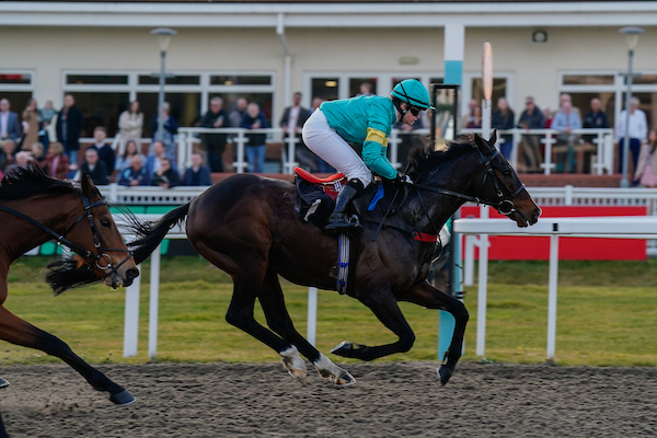 Chelmsford City Horse Racing | Chelmsford City Racecourse