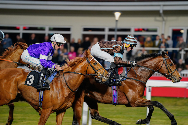 Chelmsford City Horse Racing | Chelmsford City Racecourse
