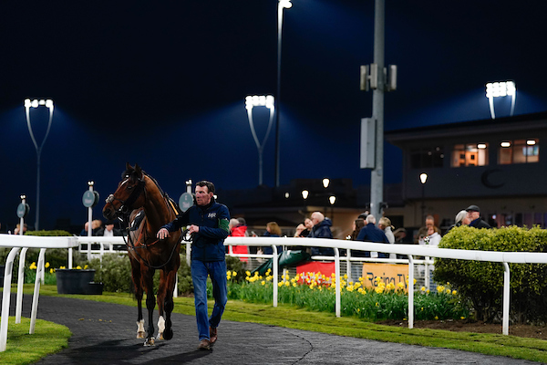 Chelmsford City Horse Racing | Chelmsford City Racecourse