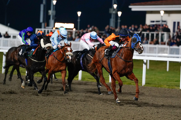 Chelmsford City Horse Racing | Chelmsford City Racecourse