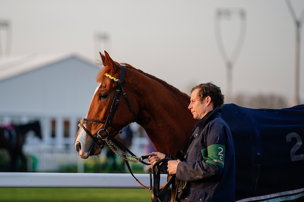 Chelmsford City Horse Racing | Chelmsford City Racecourse
