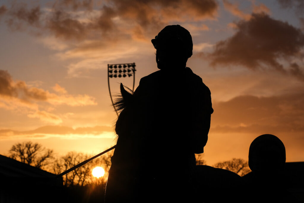 Racecourse in Essex and Near London | Chelmsford City Racecourse