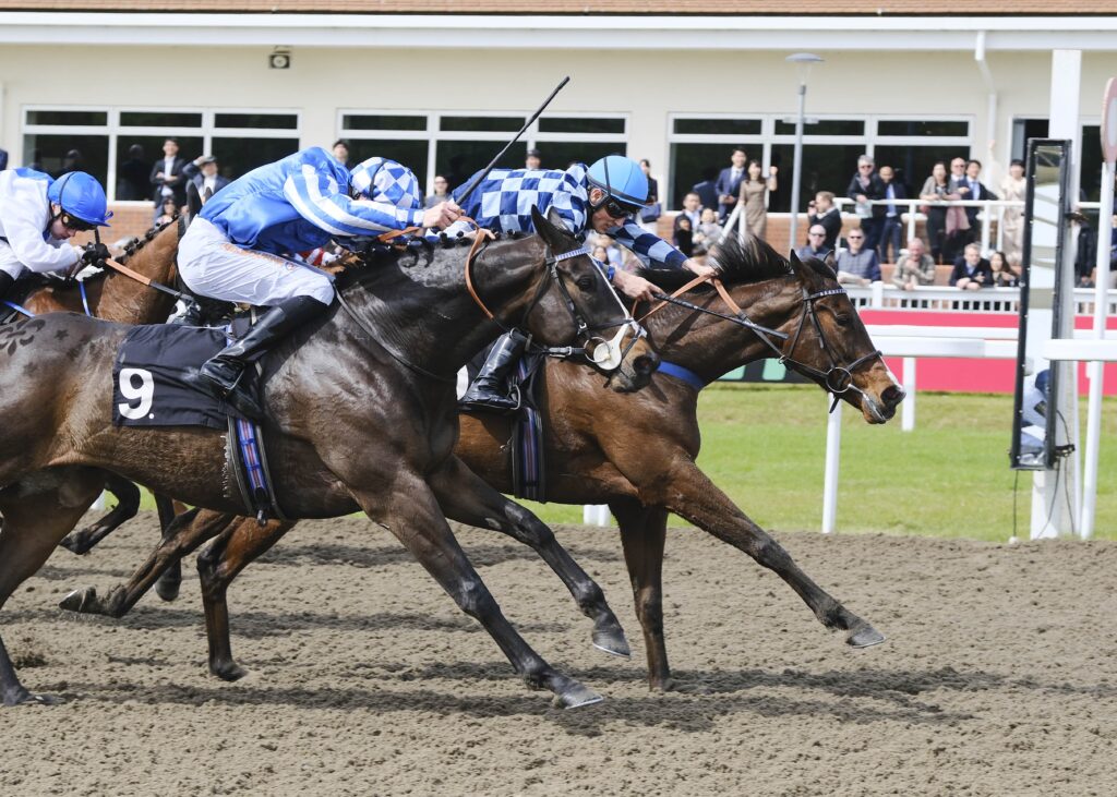 Latest News | Chelmsford City Racecourse