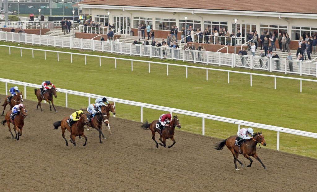 Chelmsford City Horse Racing | Chelmsford City Racecourse