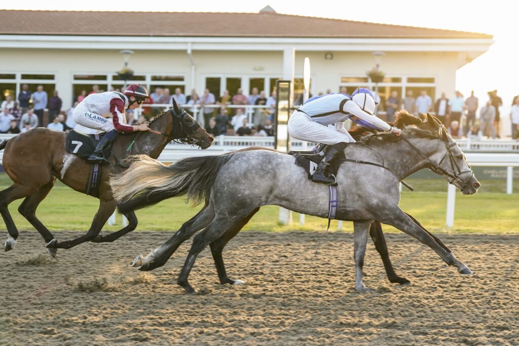 Chelmsford City Horse Racing | Chelmsford City Racecourse