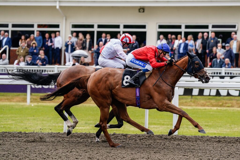 Chelmsford City Horse Racing | Chelmsford City Racecourse