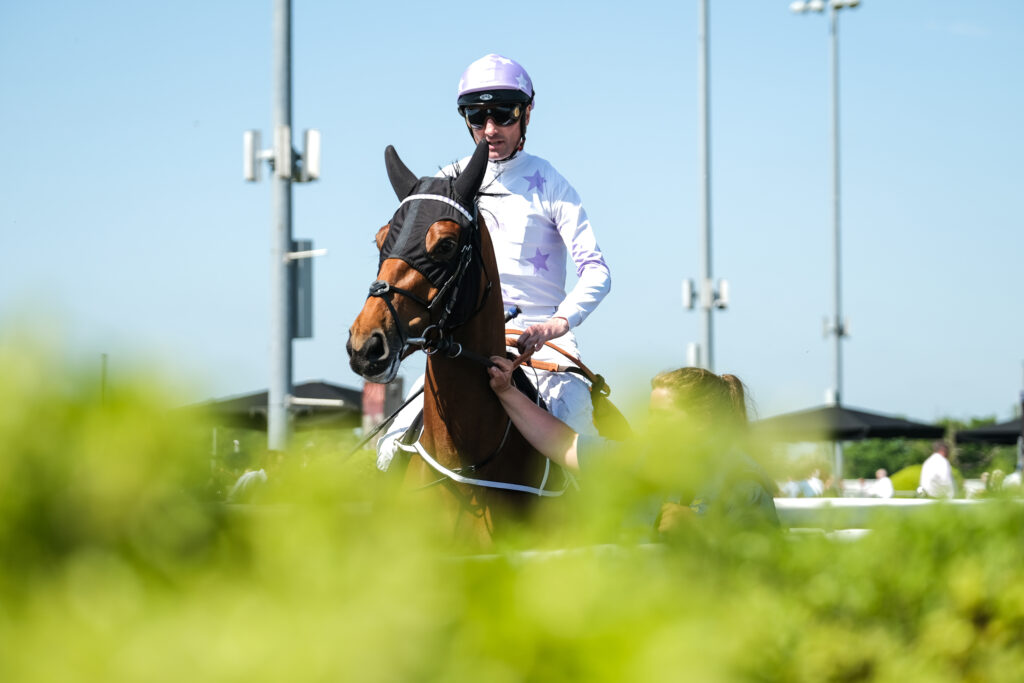 Chelmsford City Horse Racing | Chelmsford City Racecourse